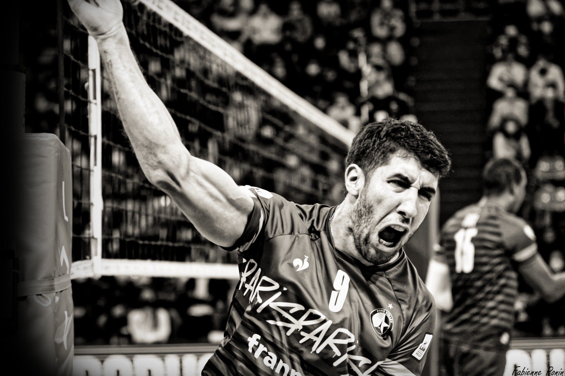 Équipe Pro – Parisvolley
